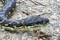 Sciences - L'actualité scientifique – Le Point