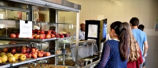 La Cantine Un Miroir Des Inégalités Sociales à Lécole